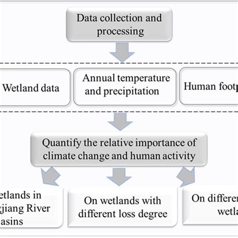 Logical Workflow Used For This Analysis Download Scientific Diagram