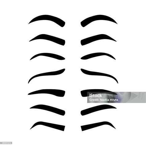 Bentuk Alis Kartun Alis Tipis Tebal Dan Melengkung Alis Klasik Alis Makeup Membentuk Vektor