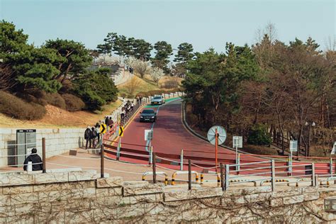 거리 사진 거리 장면 건물 공공 장소 길거리 카페 꽃 대한민국 도시 도시 경관 도시 관광 도시 사진 도시