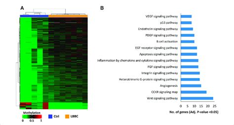 Episignature Of Cell Free DNA In Metastatic Patients With Luminal B