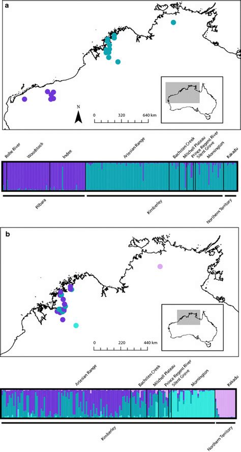 Results Of The Genetic Clustering Algorithm Employed By The Program