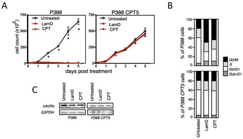 Senescence Like Growth Arrest Depends On The Effects Of Lamd On Download Scientific Diagram