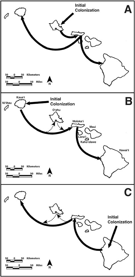 Speciation And Biogeography In The Hawaiian Endemic Genus Kokia