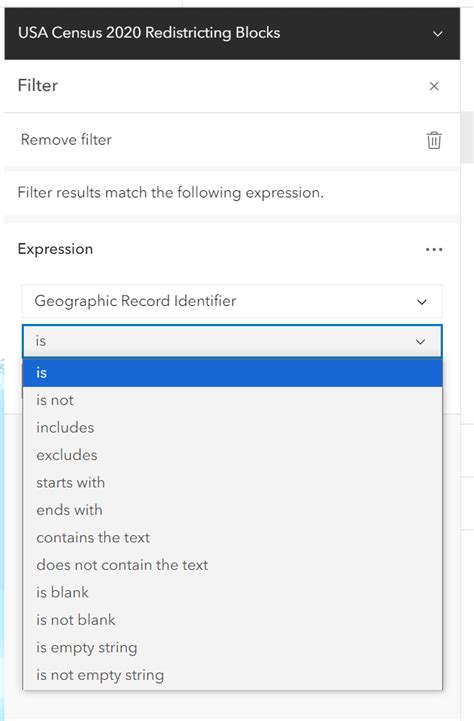 Allow Arcade Expressions In Experience Builder Esri Community