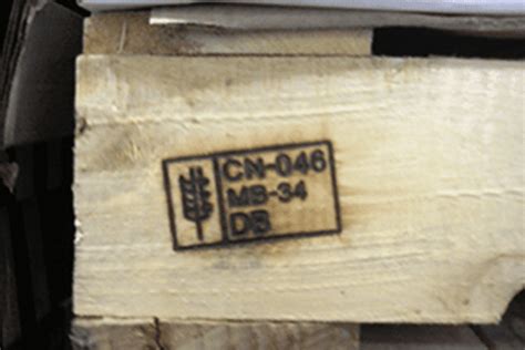 Methyl Bromide