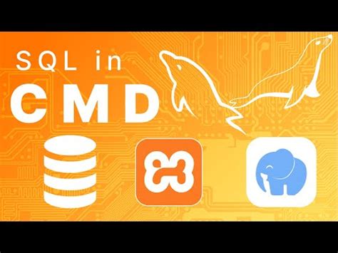 Cómo Ejecutar Comandos En MySQL Guía De Execute Command MySQL YA
