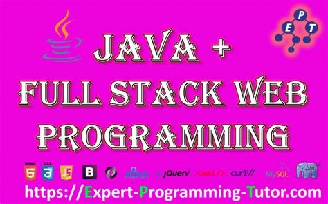 Expert Programming Tutor Online Learning
