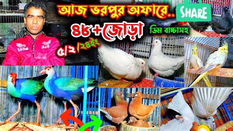 নতুন কালেকশনের নতুন অফার ৪৮ জোড়া কবুতর ডিম বাচ্চা সহ একদম পানির দামে