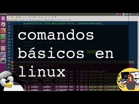 Cómo Crear Un Directorio En Linux Desde La Línea De Comandos NEWSMATIC