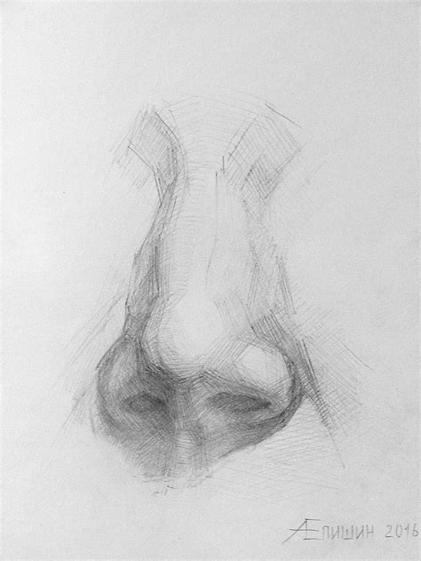 Как рисовать нос Поэтапный рисунок с обучающими схемами Рисовать Рисунок с