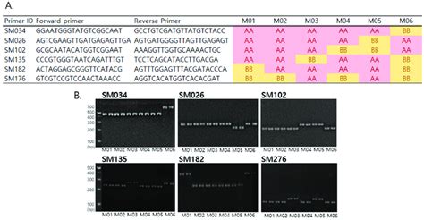 Minimum Indel Marker Set For Fingerprinting The Six Selected Accessions