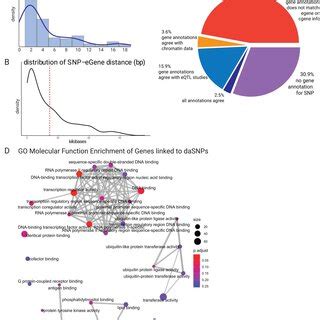 Gene Concordance For Variant Annotation Approaches A Distribution Of Download Scientific