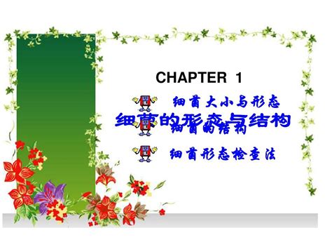 医学微生物学 第01章 细菌的形态与结构word文档在线阅读与下载无忧文档