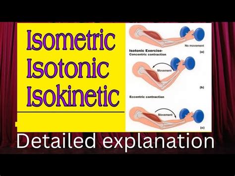 Sexercises Isometric And Isotonic The Isometrics Fashionable Exercise