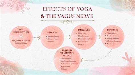 Yoga Physiology Explained 6 Benefits Backed By Science
