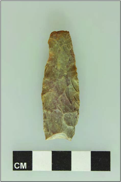 Lot 127 1 Untypable Lanceolate Point Download Scientific Diagram