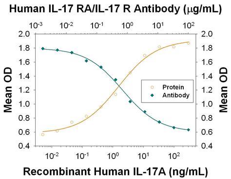 Human Il 17rail 17r Antibody Mab177 100 Randd Systems