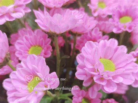 花🌸z967419499 站酷zcool