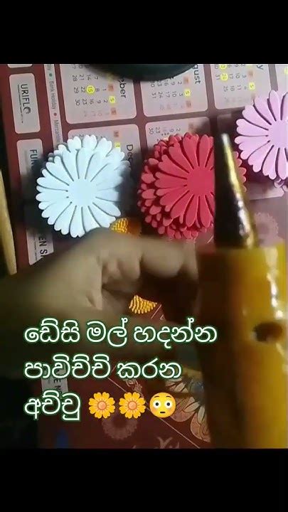 ඩේසි මල්😳 Foamflowers Diy Foampaperflower Craft Howtomake Youtube