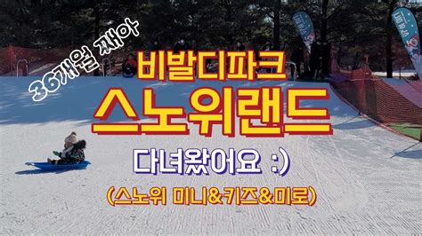 째아vlog 홍천비발디파크 스노위랜드 즐기기 썰매를 혼자탄다고 Youtube