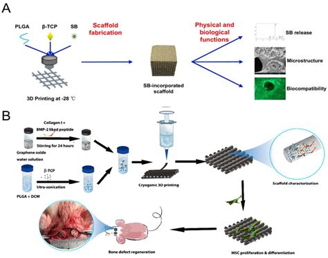 Polymers Free Full Text A 3d Printed Scaffold For Repairing Bone Defects