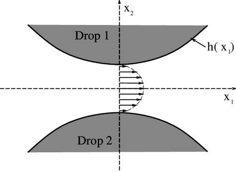 Schematic Representation Of Two Approaching Drops And The Squeezing