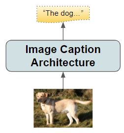Image Captions With Attention In Tensorflow Step By Step Ketan Doshi Blog