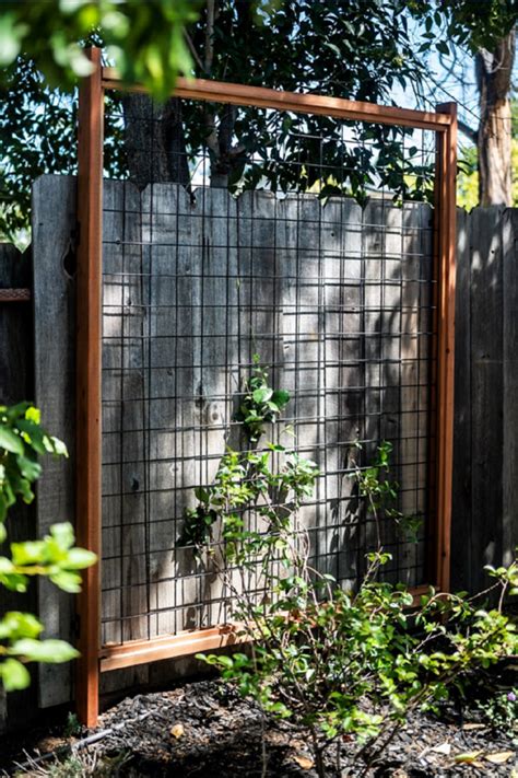 How To Build An Easy Fence Trellis Building Strong