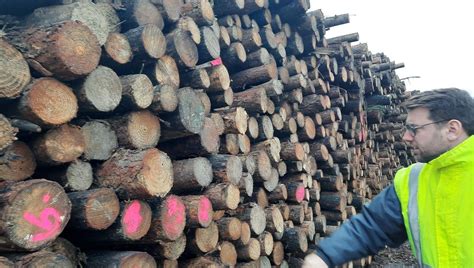 Vendée un fabricant de meubles donne une nouvelle vie aux arbres
