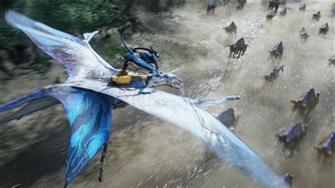 Avatar Sturmbeest