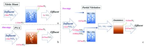 The Process Flow Of Nitritation−based Nitrogen Removal Processes A
