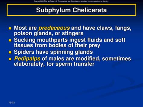 Ppt Classification Phylum Arthropoda Chapter 19 Subphylum Trilobita Extinct Subphylum