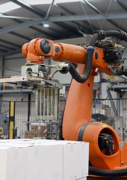 robotic cell for box palletizing esi robotics leaders in industrial