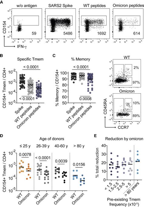 The Pre Exposure Sars Cov 2 Specific T Cell Repertoire Determines The Quality Of The Immune