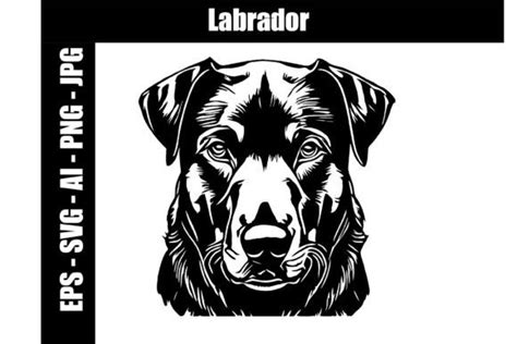 Labrador Graphiccut File Svg Ai Png Eps Graphic By Different By Design