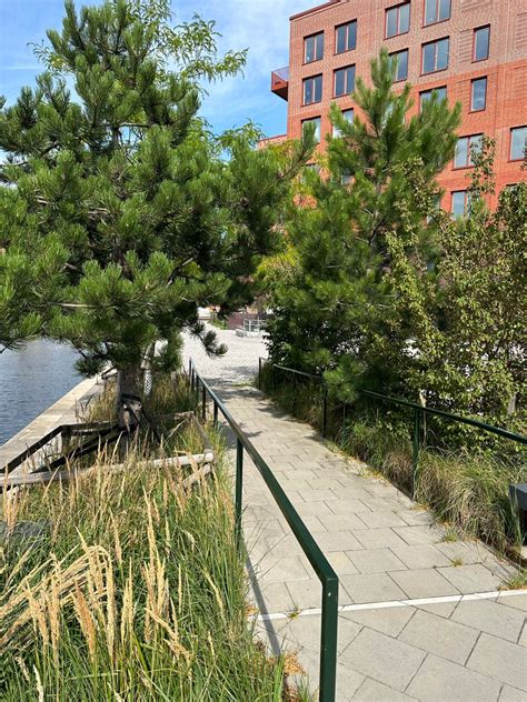 Jonathan Smales On Linkedin Rain Gardenssuds In Malmo Emphatic