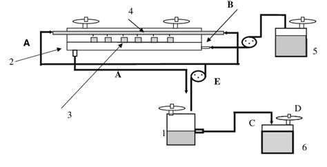 Schematic Diagram Of The Chemostat Like Continuous Culture System In Download Scientific