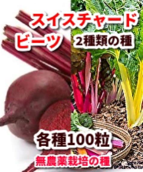 【新品未使用】スイスチャードとビーツの【2種類】の種 メルカリ