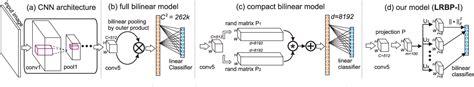 Figure 1 From Low Rank Bilinear Pooling For Fine Grained Classification Semantic Scholar