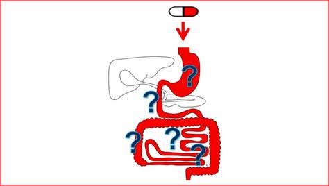 Patrick Augustijns On Linkedin Are You Highly Interested And Involved In Research In The Field