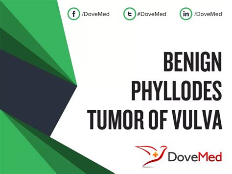 Benign Phyllodes Tumor Of Vulva Dovemed
