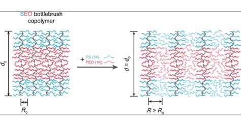 Structure And Phase Behavior Of Bottlebrush Diblock Copolymer Linear