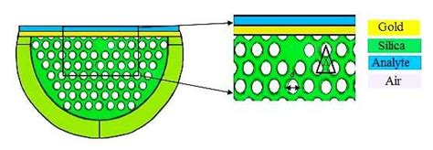 Cross Section Views Of D Shape Pcf Download Scientific Diagram