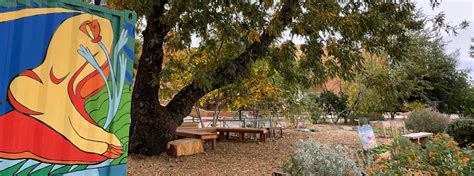 Csun G A R D E N California State University Northridge