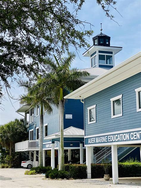 12 Unique And Fun Things To Do In Tierra Verde Fl