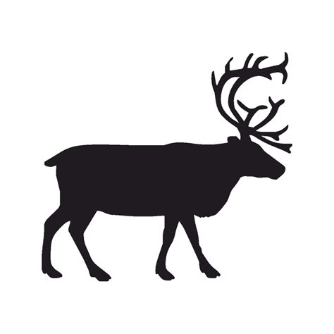 Deer Vector Graphics Portable Network Graphics Clip Art Image Deer Png Download 800800