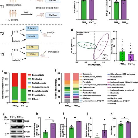 Schema Summarizing Key Findings In Depth Multi Omics Analyses Revealed