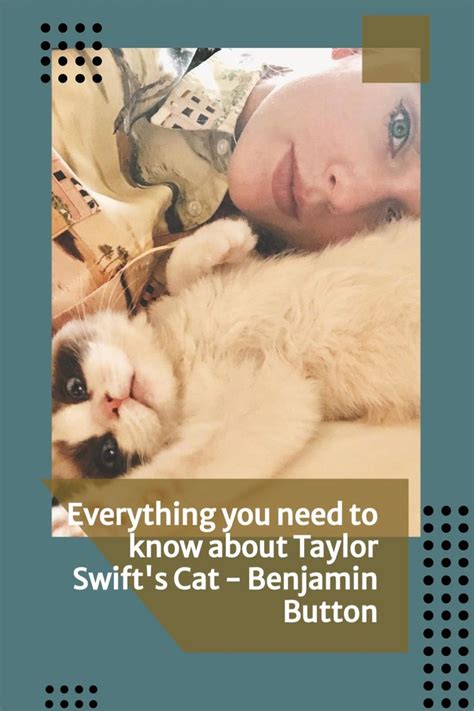 Everything You Need To Know About Taylor Swifts Cat Benjamin Button