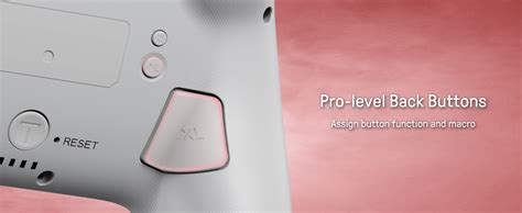 Funlab [luminous Pattern Firefly Switch Pro Controller Wireless With 7 Led Colors