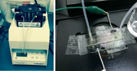 Microfluidic Dielectrophoretic Chip System A Left Image Is Download Scientific Diagram